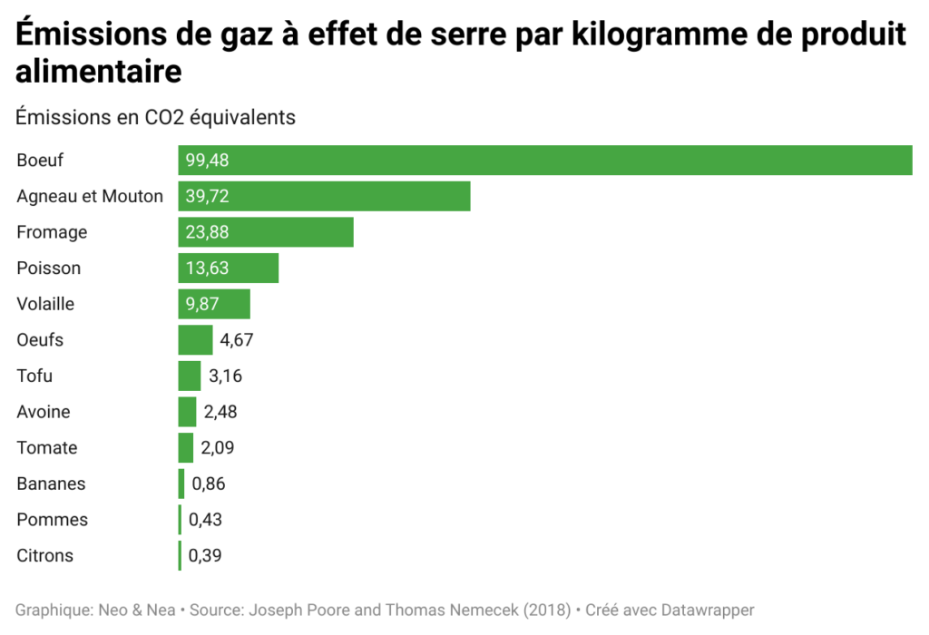 Alimentation locale : quel impact sur l'empreinte carbone ? - Neo & Nea